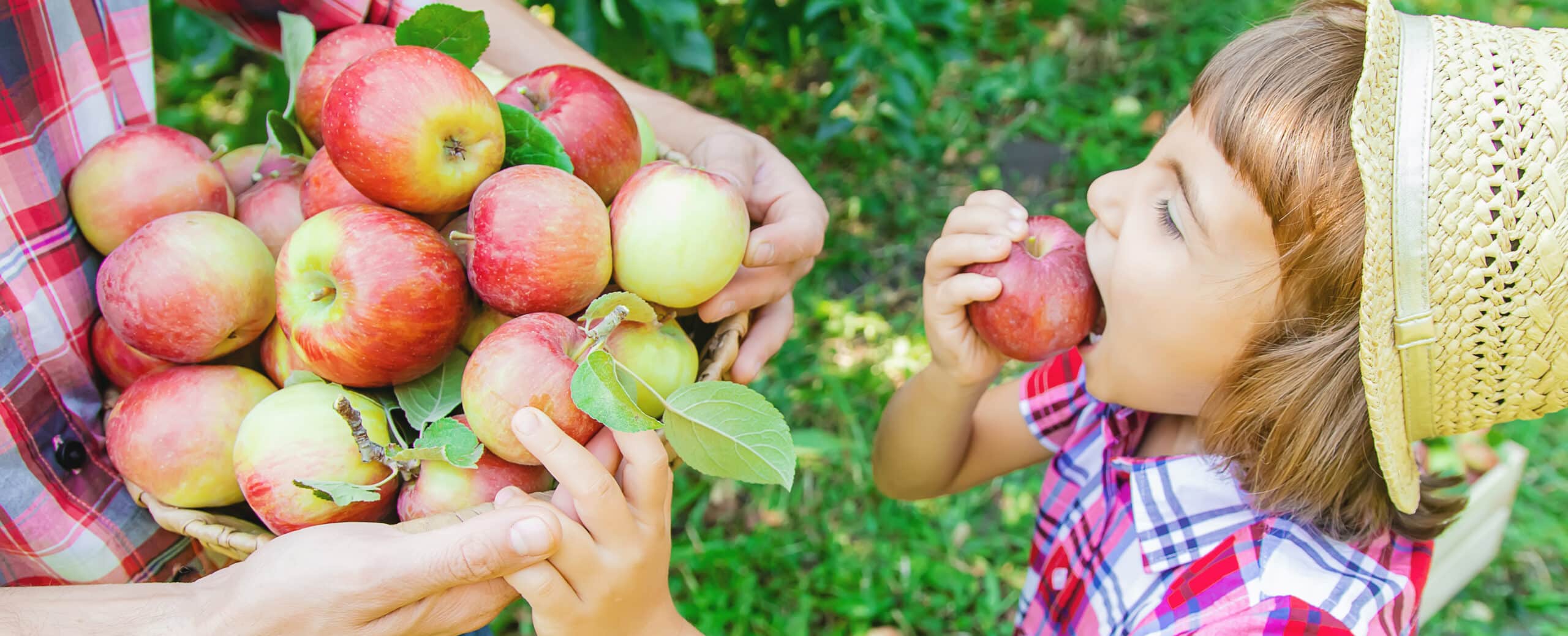 The common things of life - Southwest Radio Ministries-SWRC