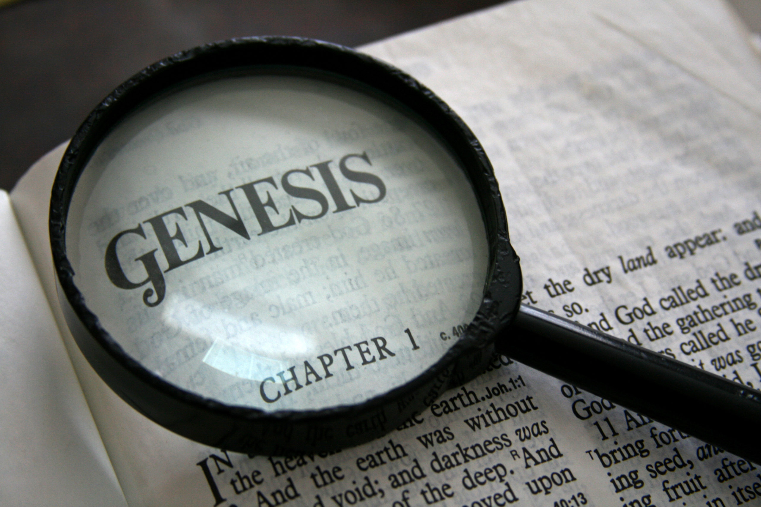 Genesis in the Light of Revelation - Southwest Radio Ministries-SWRC