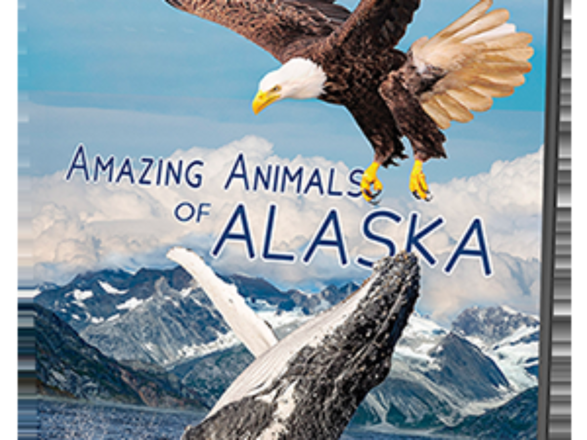 Amazing Alaska Animals